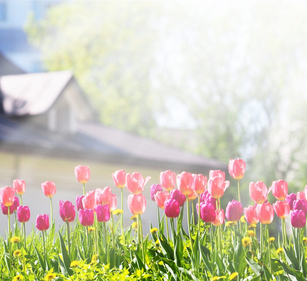Spring Roofing Checklist - Royalty Roofing